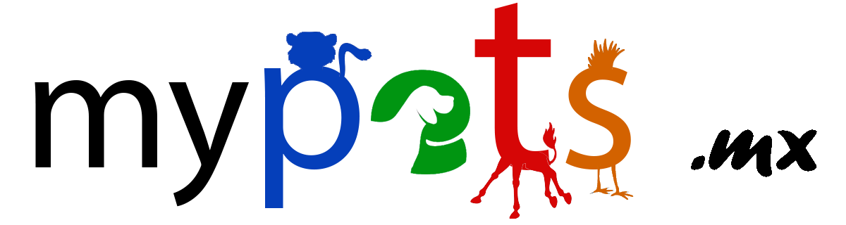 mypets - Todo para tu mascota – mypets.mx